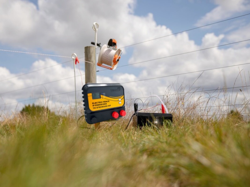 Tongher - Dragon's Electronic Fence Blog